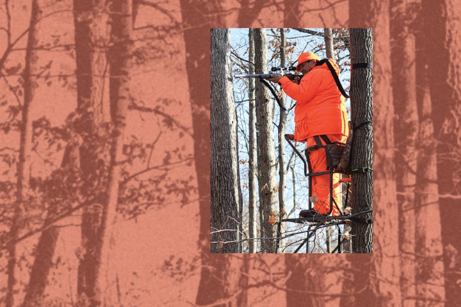 Art Hunting Tree Stands
