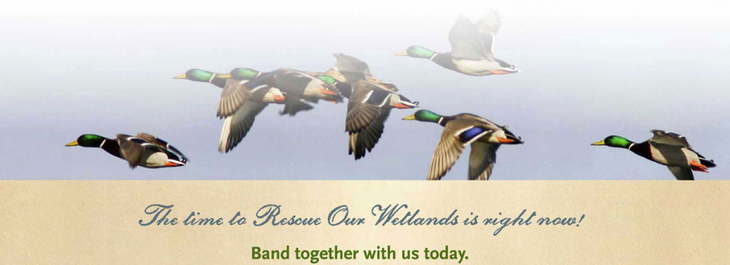 Outdoor Illinois Journal: Phillips 66, DU to Improve Illinois Lake