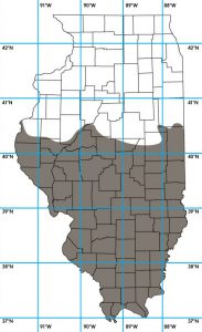 Outdoor Illinois Journal: Understanding the Nine-banded Armadillo in ...