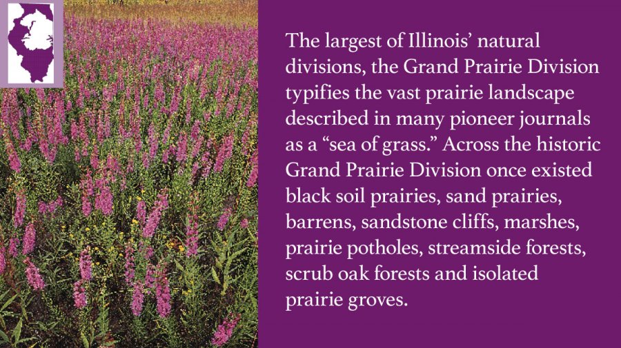 Outdoor Illinois Journal: The Illinois Natural Division System ...