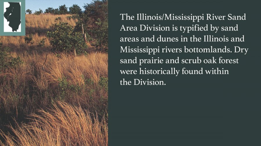 Outdoor Illinois Journal: The Illinois Natural Division System ...