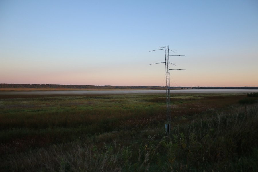 Outdoor Illinois Journal: Tracking Wetland Birds with Motus