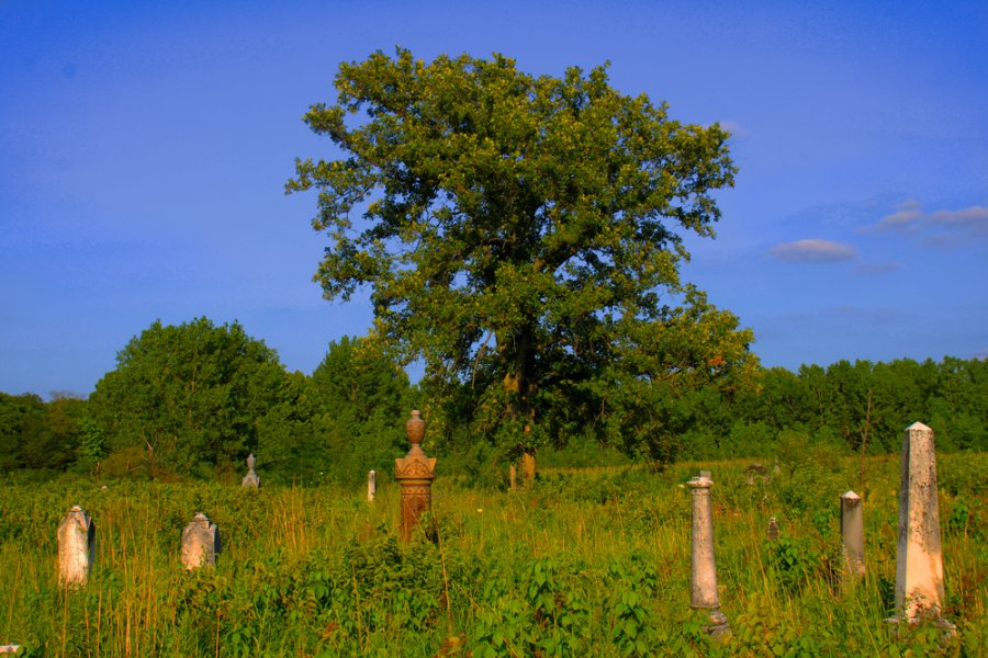 Outdoor Illinois Journal: Illinois’ Grand Prairie: Protecting and Re ...