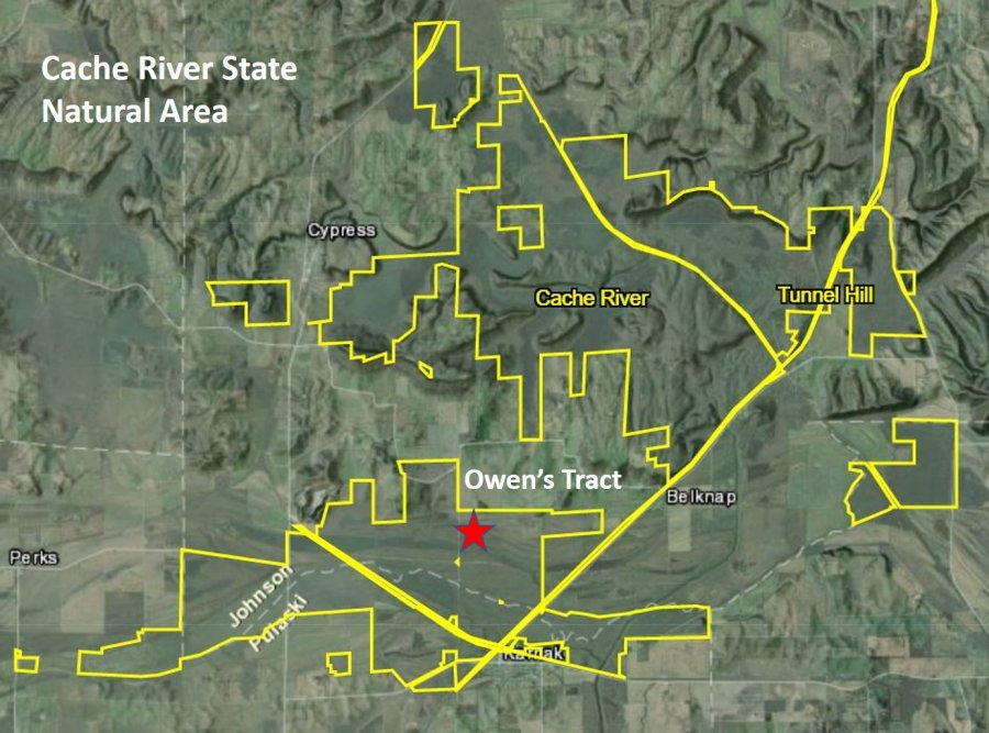 Outdoor Illinois Journal: Cache River Project Ready for Ducks and ...