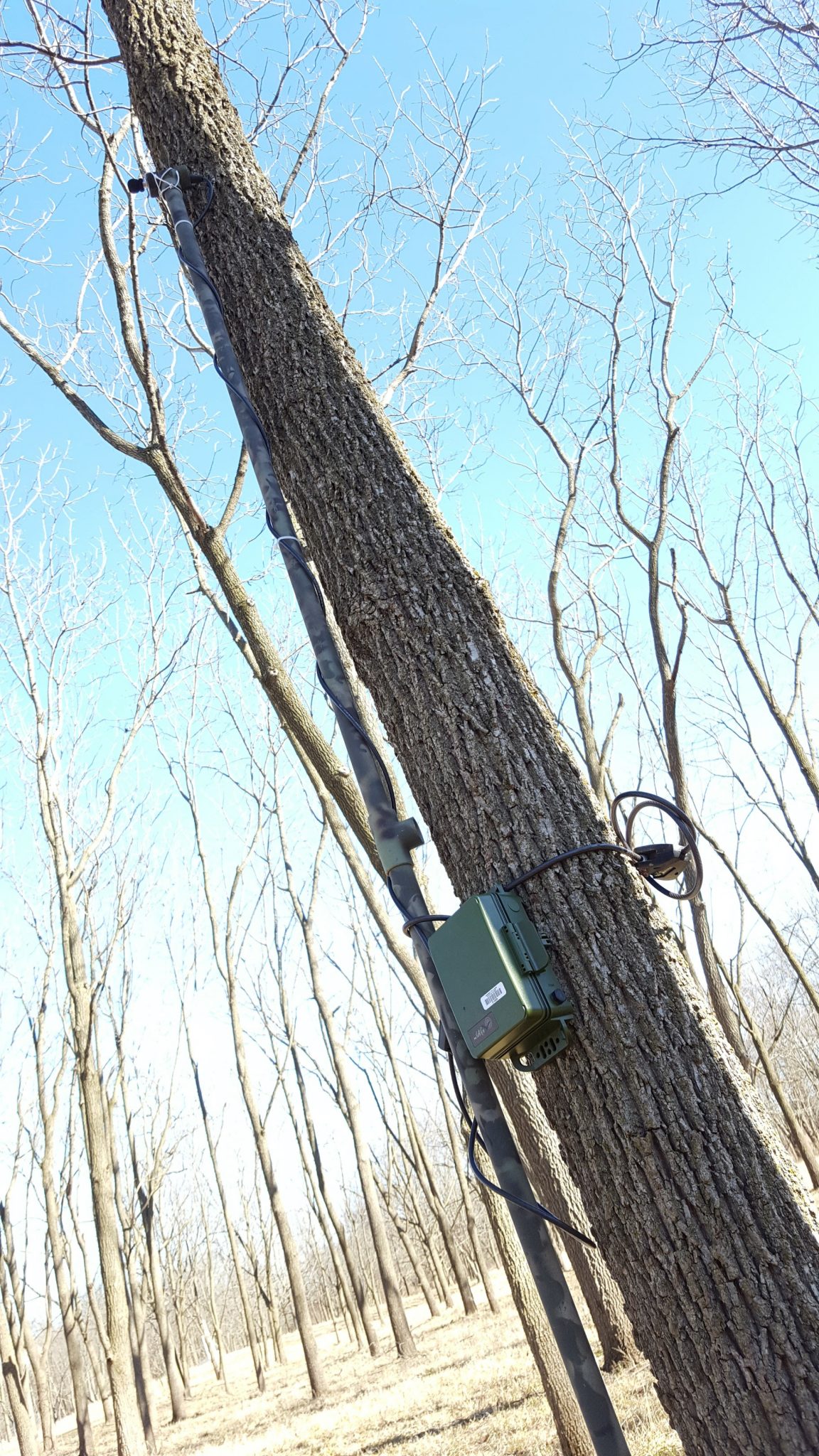 Outdoor Illinois Journal: Acoustic Bat Monitoring