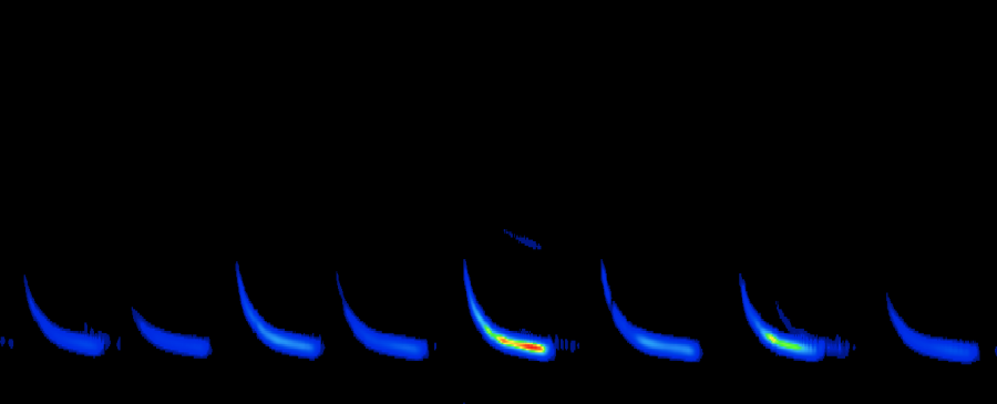 Outdoor Illinois Journal: Acoustic Bat Monitoring