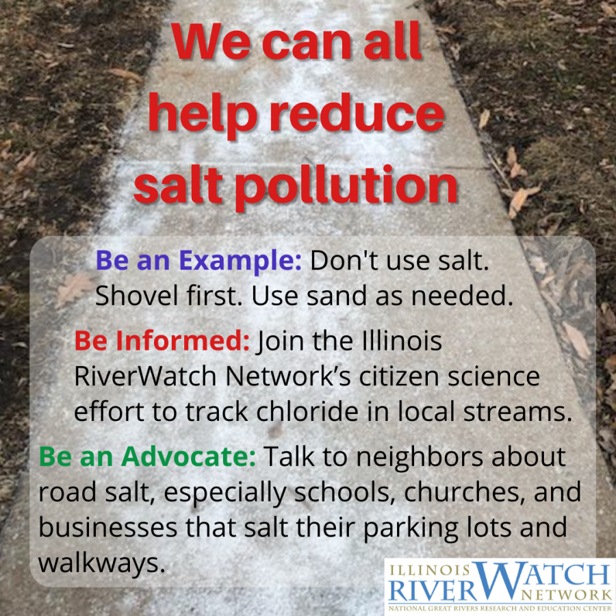Outdoor Illinois Journal: Winter Road Salt Impacts Aquatic Ecosystems