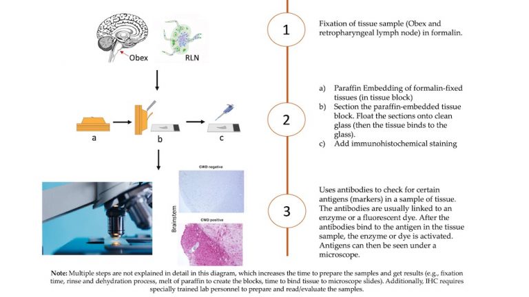 Outdoor Illinois Journal: CWD Management in Illinois: Improving ...