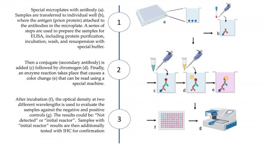Outdoor Illinois Journal: CWD Management in Illinois: Improving ...
