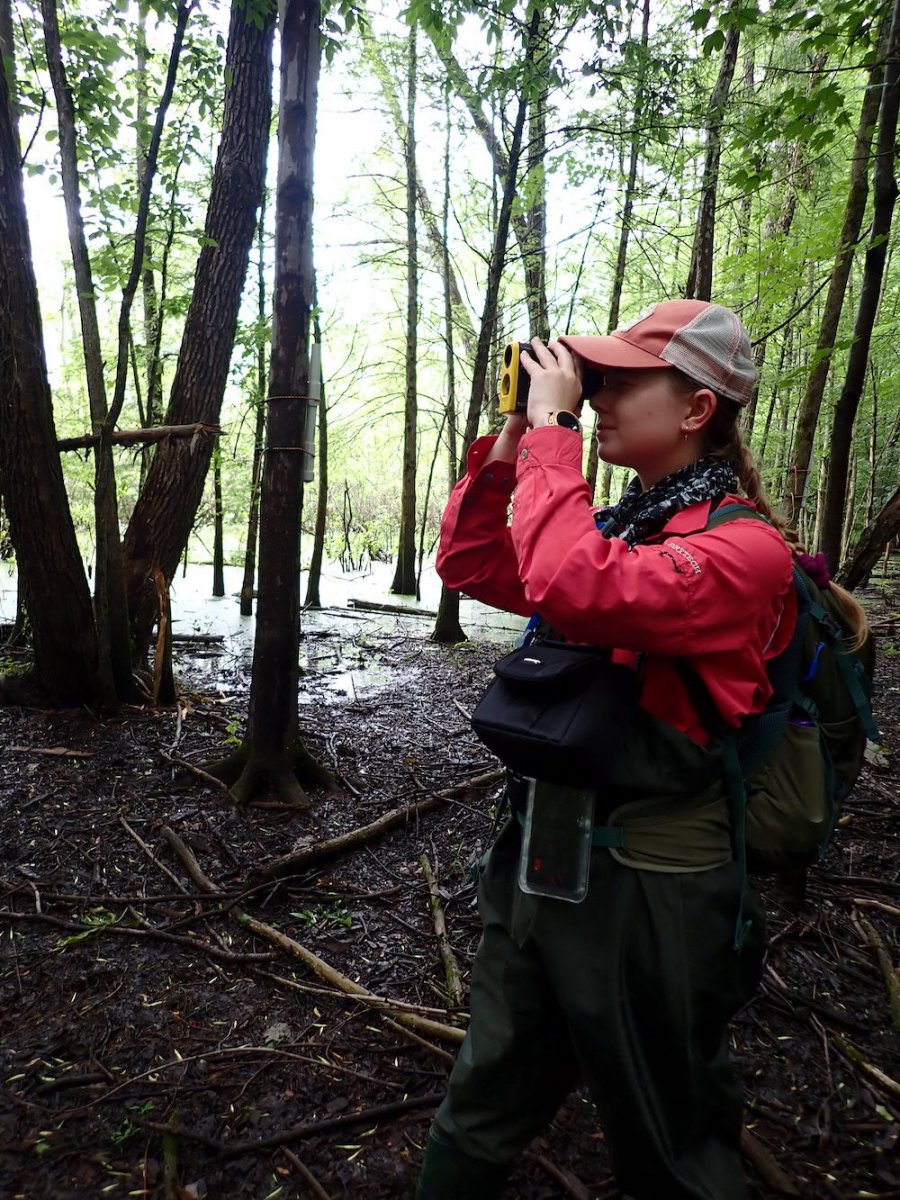 Outdoor Illinois Journal: NGRREC Research Interns Hear the Call of the ...