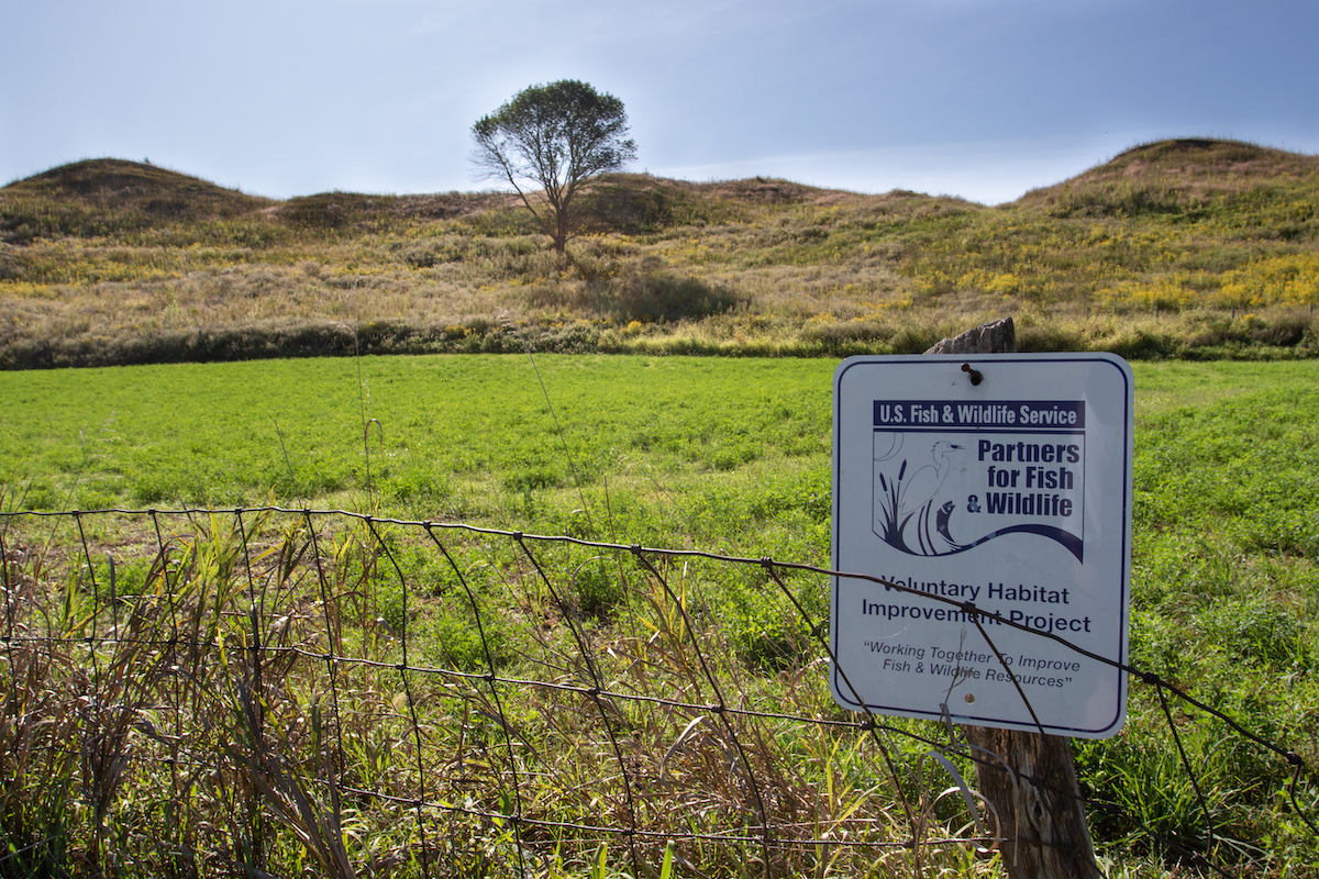 Outdoor Illinois Journal: Remarkable Responses from the Illinois Hill ...