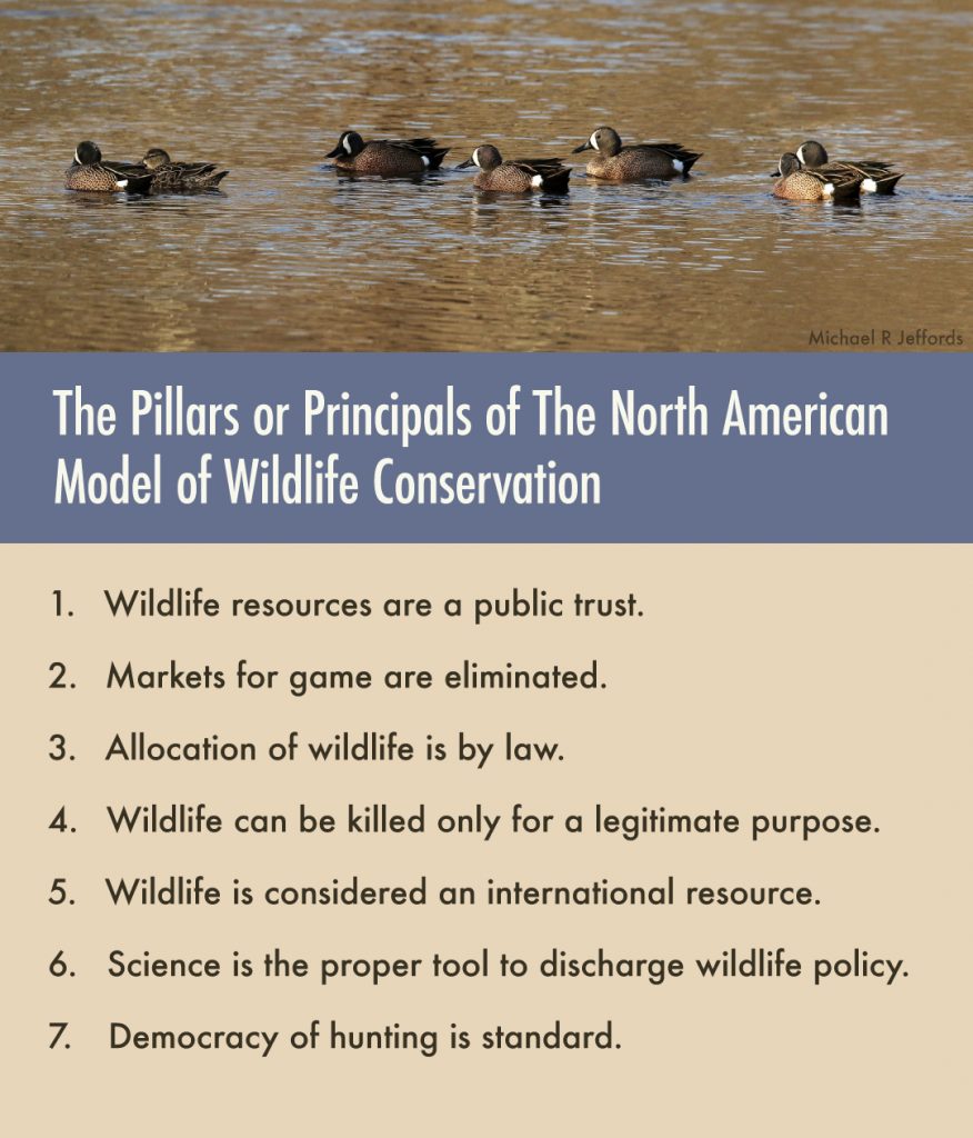 Outdoor Illinois Journal: The North American Model in Action