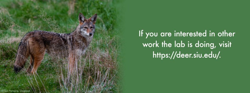 Outdoor Illinois Journal: Understanding the Impact of Predators on ...