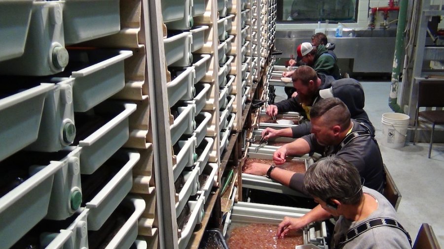 Outdoor Illinois Journal: Hail to The King