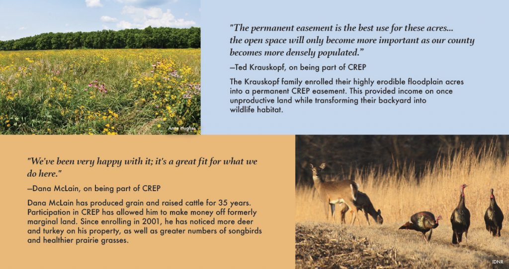 Outdoor Illinois Journal: CREP is Back