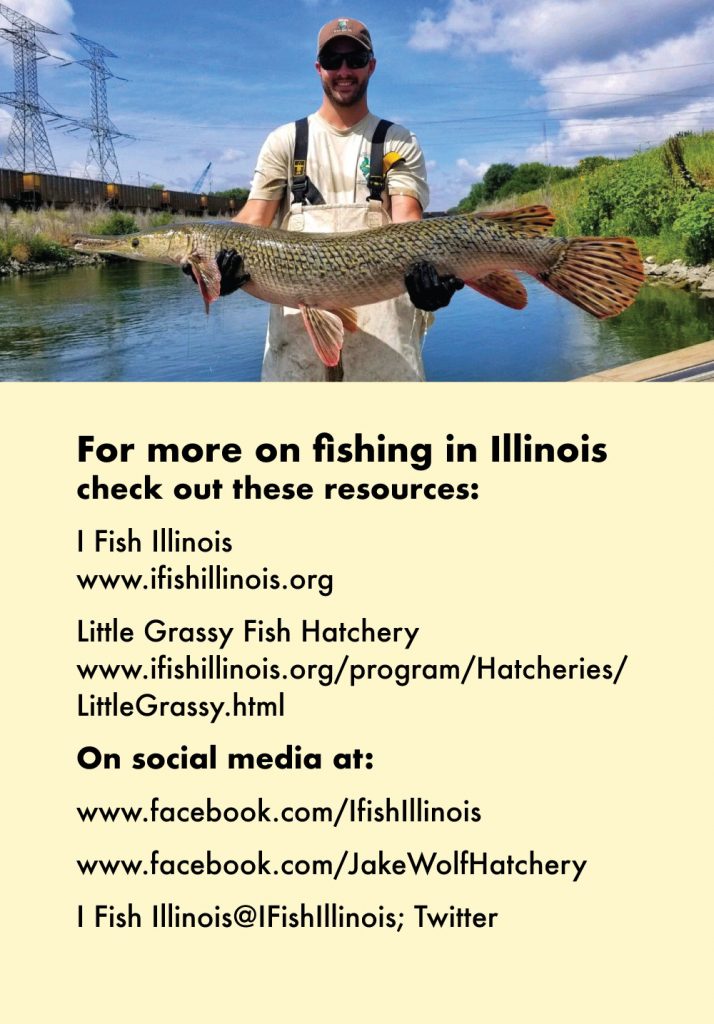 Outdoor Illinois Journal: Introduction to the Division of Fisheries