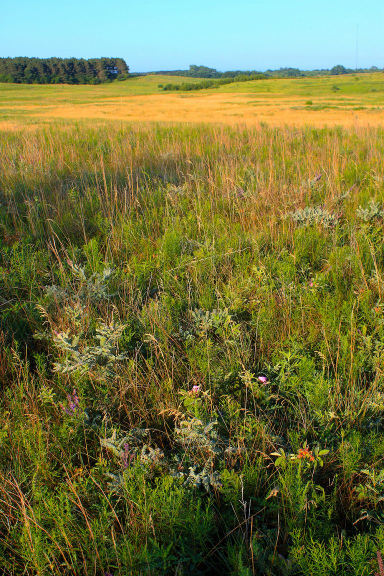 Outdoor Illinois Journal: Green River Lowland: Glacial Action Shaped ...