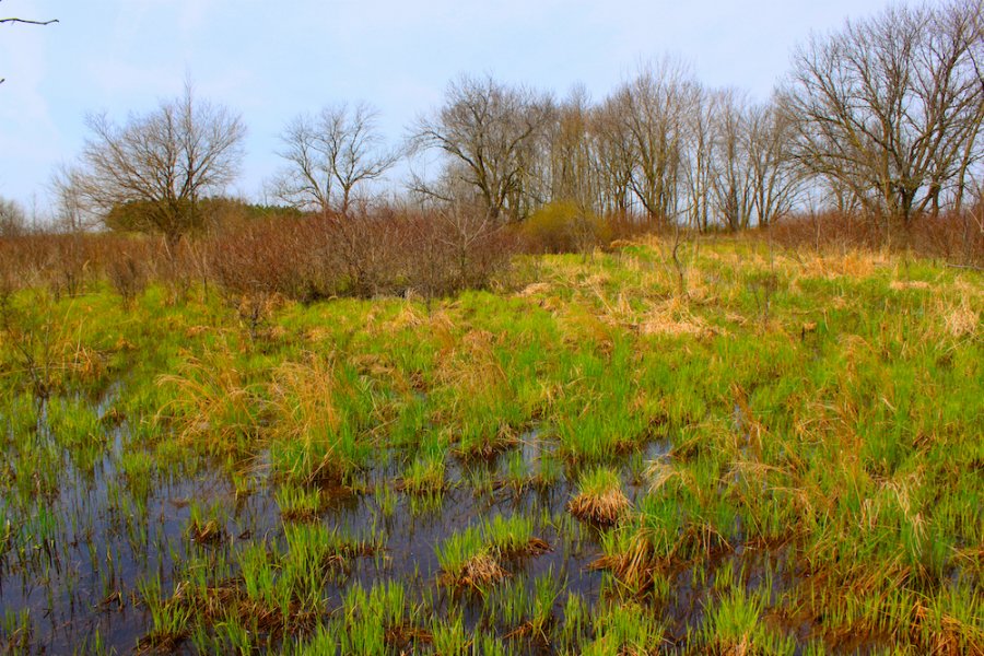 Outdoor Illinois Journal: Green River Lowland: Glacial Action Shaped ...
