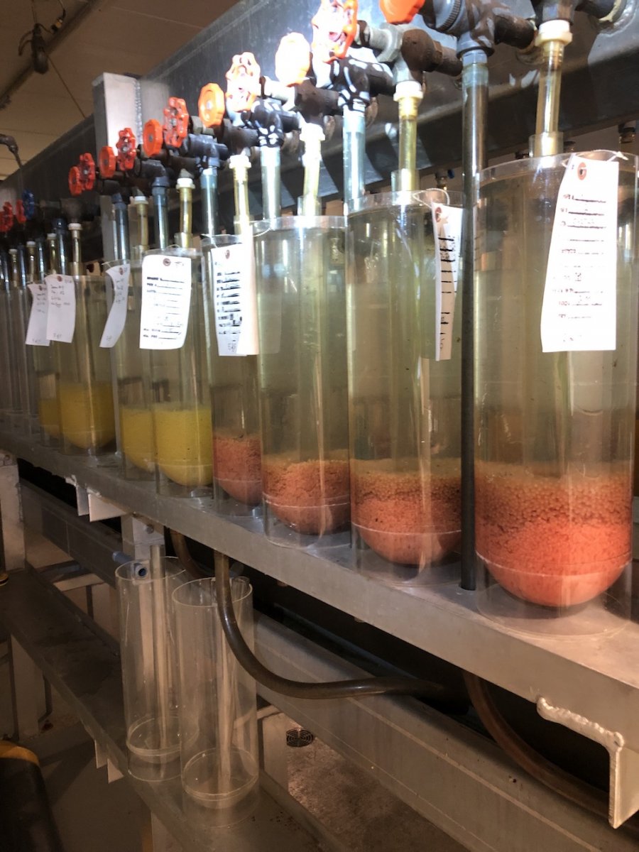 Outdoor Illinois Journal: Your Channel Catfish Dinner May Be a Product ...