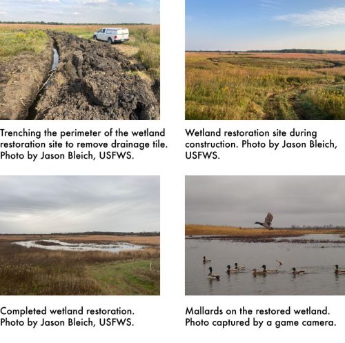 Outdoor Illinois Journal: Wetland Restoration: Part 1, Building a Duck Hole