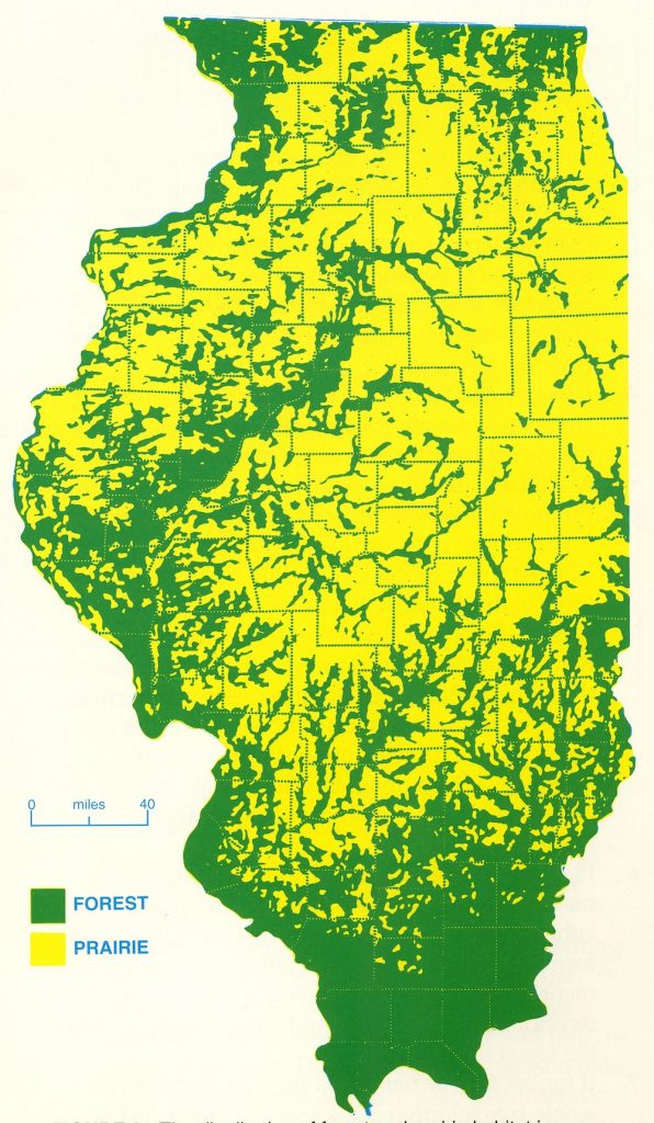 Outdoor Illinois Journal: Western Forest-Prairie Natural Division: A ...