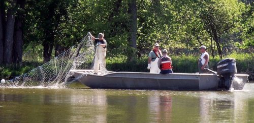 Outdoor Illinois Journal: Illinois Commercial Fishing Trends