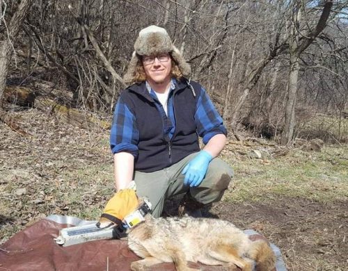 Outdoor Illinois Journal: Top Five Reasons to Give Furbearer Hunting a Try