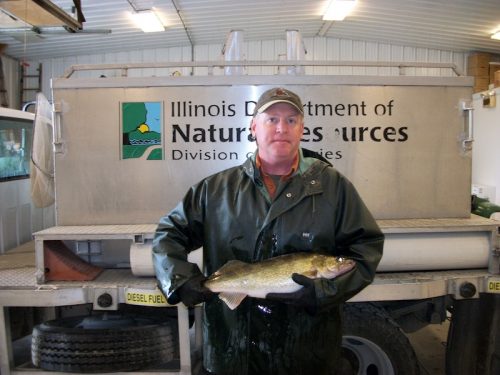 Outdoor Illinois Journal: Walleye and Sauger in the Prairie State