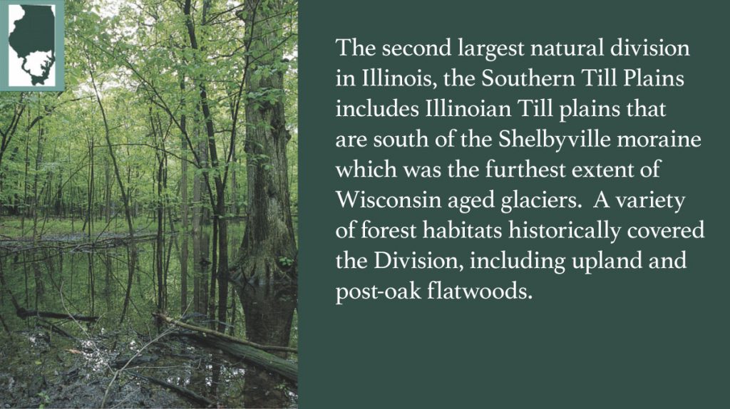 Outdoor Illinois Journal: The Illinois Natural Division System ...