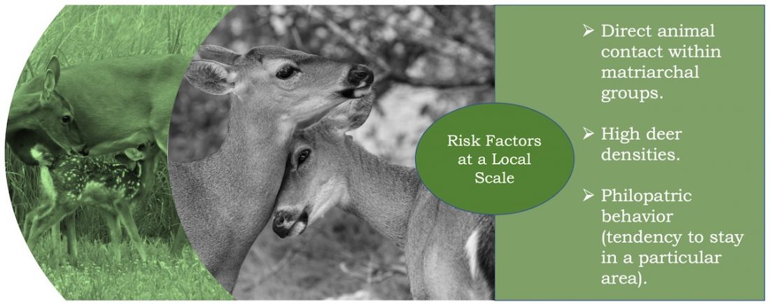 Outdoor Illinois Journal: Impact of CWD on Fetal Growth and Pregnancy ...