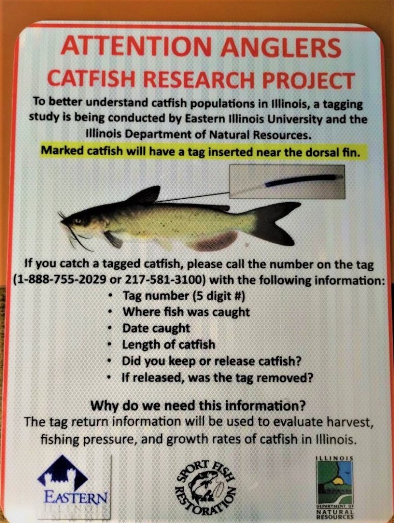 Outdoor Illinois Journal: TAG! (Those Fish)