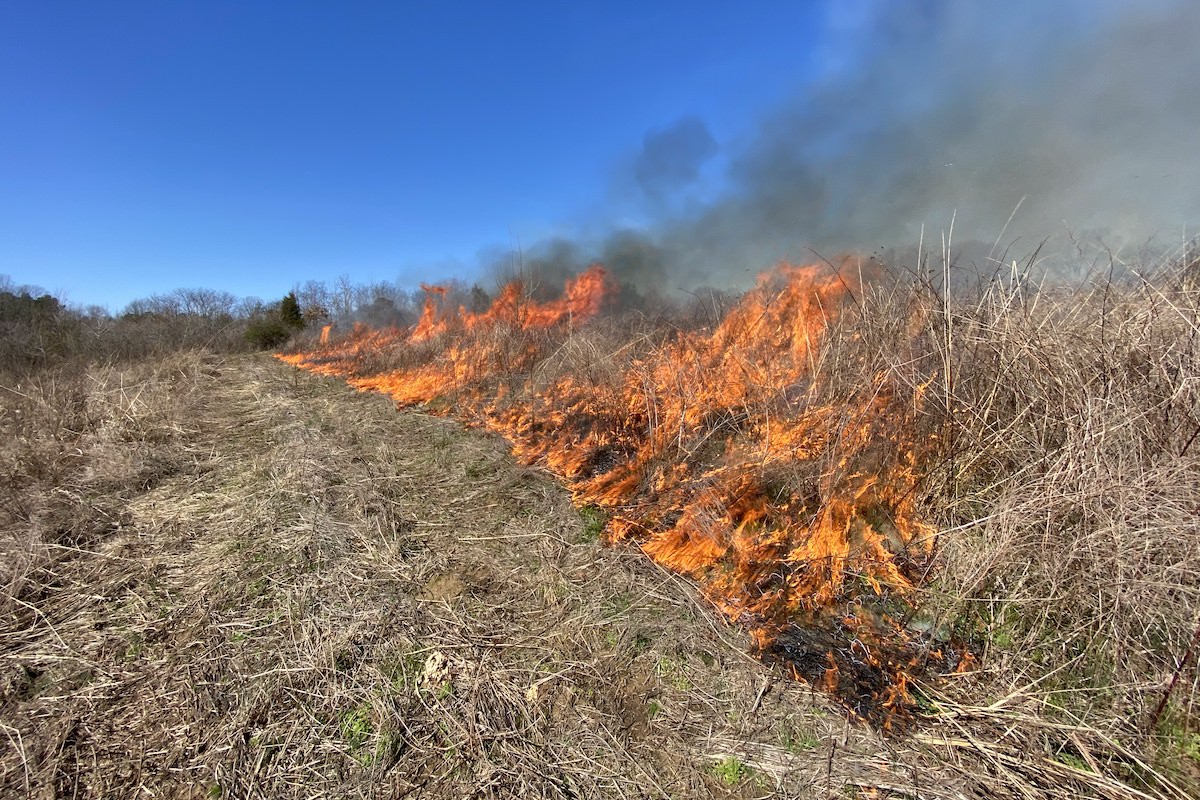 Outdoor Illinois Journal: Prescribed Fires