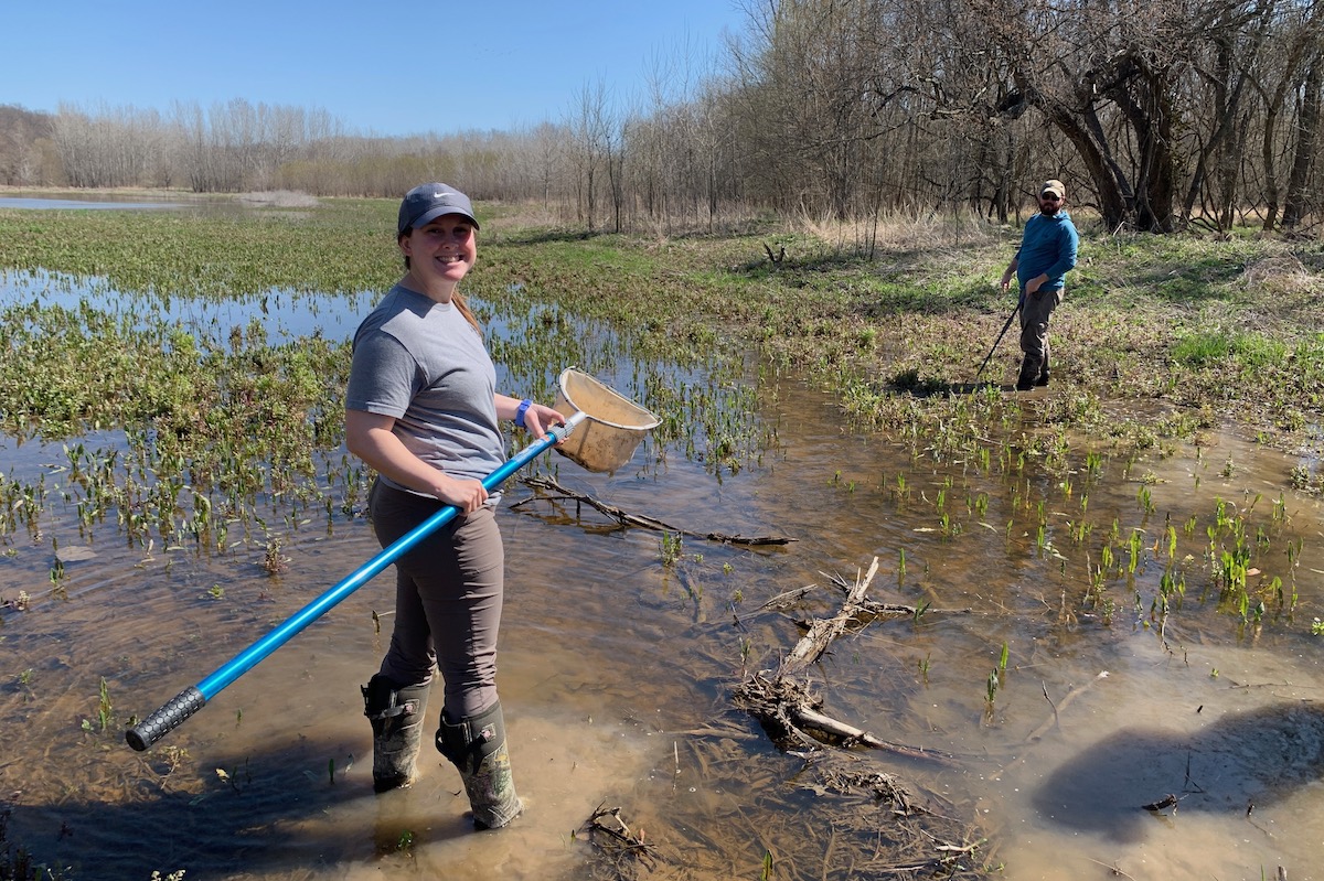 Outdoor Illinois Journal: Researchers Survey Dragonflies and ...