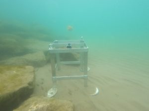 Outdoor Illinois Journal: If You Build it, Will They Come? Initial ...