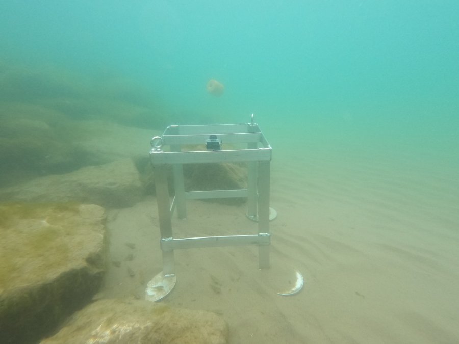 Outdoor Illinois Journal: If You Build it, Will They Come? Initial ...