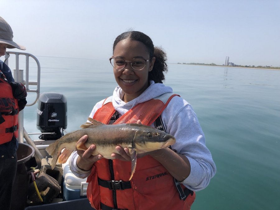 Outdoor Illinois Journal: If You Build it, Will They Come? Initial ...