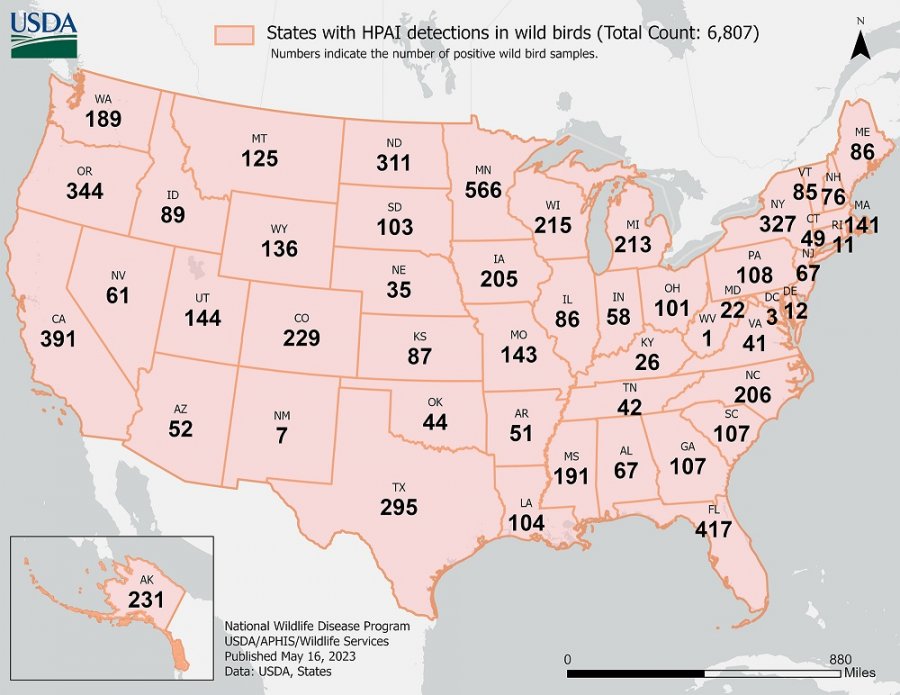 Outdoor Illinois Journal: Highly Pathogenic Avian Influenza: Locally ...