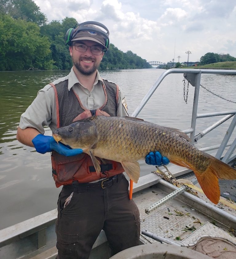 Outdoor Illinois Journal: “Carp-e diem”—Sampling for Invasive Carp on ...