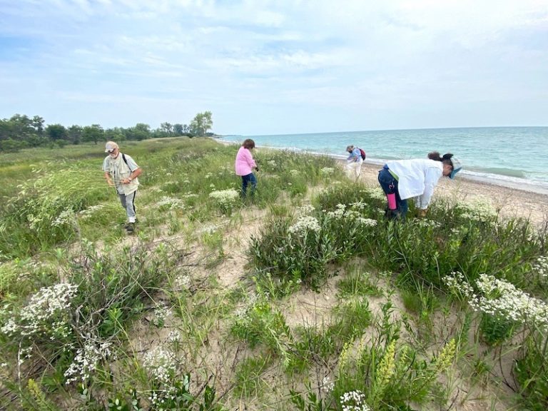 Outdoor Illinois Journal: How Will We Celebrate a 100th Anniversary?