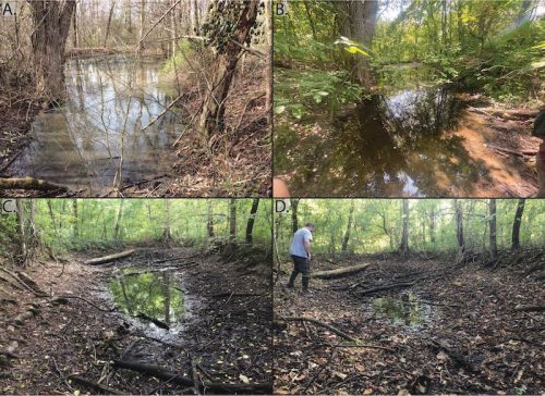Outdoor Illinois Journal: Understanding the Distribution and Ecology of ...