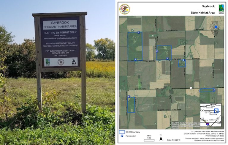 Outdoor Illinois Journal: A Brief History of the Illinois Pheasant ...