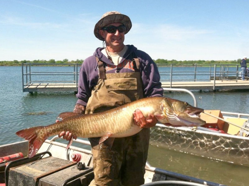 A Fish of a Different Color