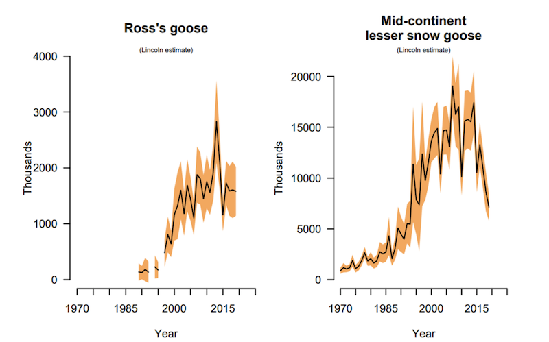 Where Did All These Things Come From?!