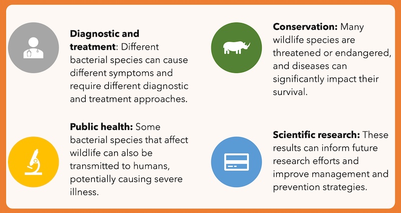 What is the Difference Between Tuberculosis, Paratuberculosis and ...