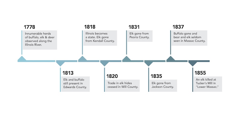 Outdoor Illinois Journal: Wapiti Walkabout