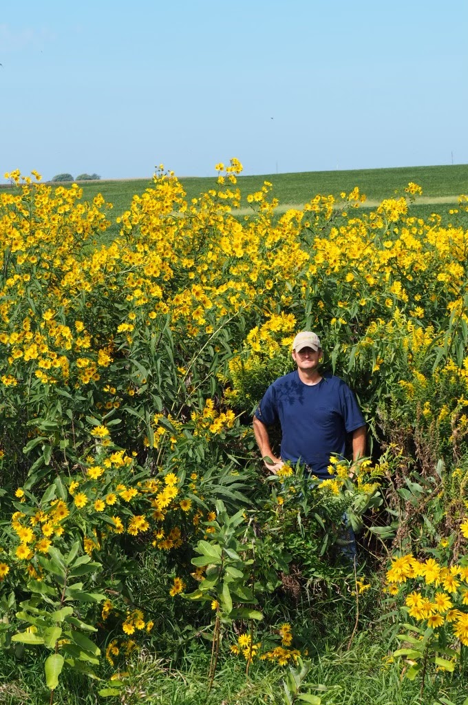 Outdoor Illinois Journal: Quail Comeback