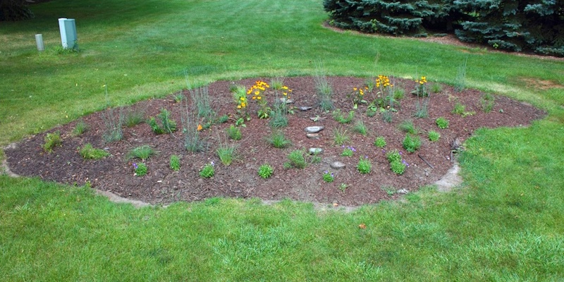Outdoor Illinois Journal: Habitat in Your Backyard