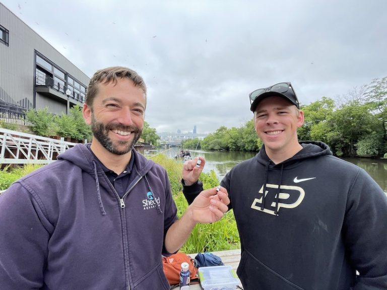 Outdoor Illinois Journal: Chicago River Study is Tracking Fish Movement ...