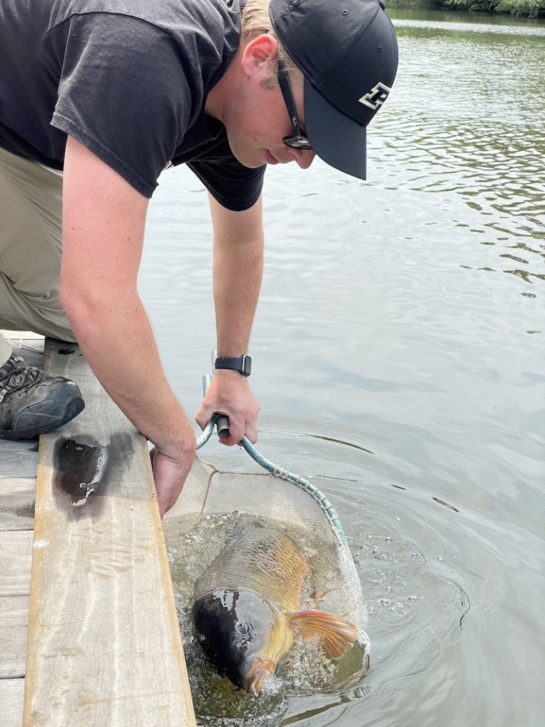 Outdoor Illinois Journal: Chicago River Study is Tracking Fish Movement ...