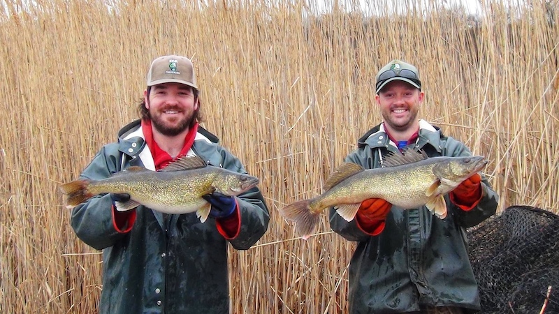 Outdoor Illinois Journal: Angler Data Informs Fish Population Status